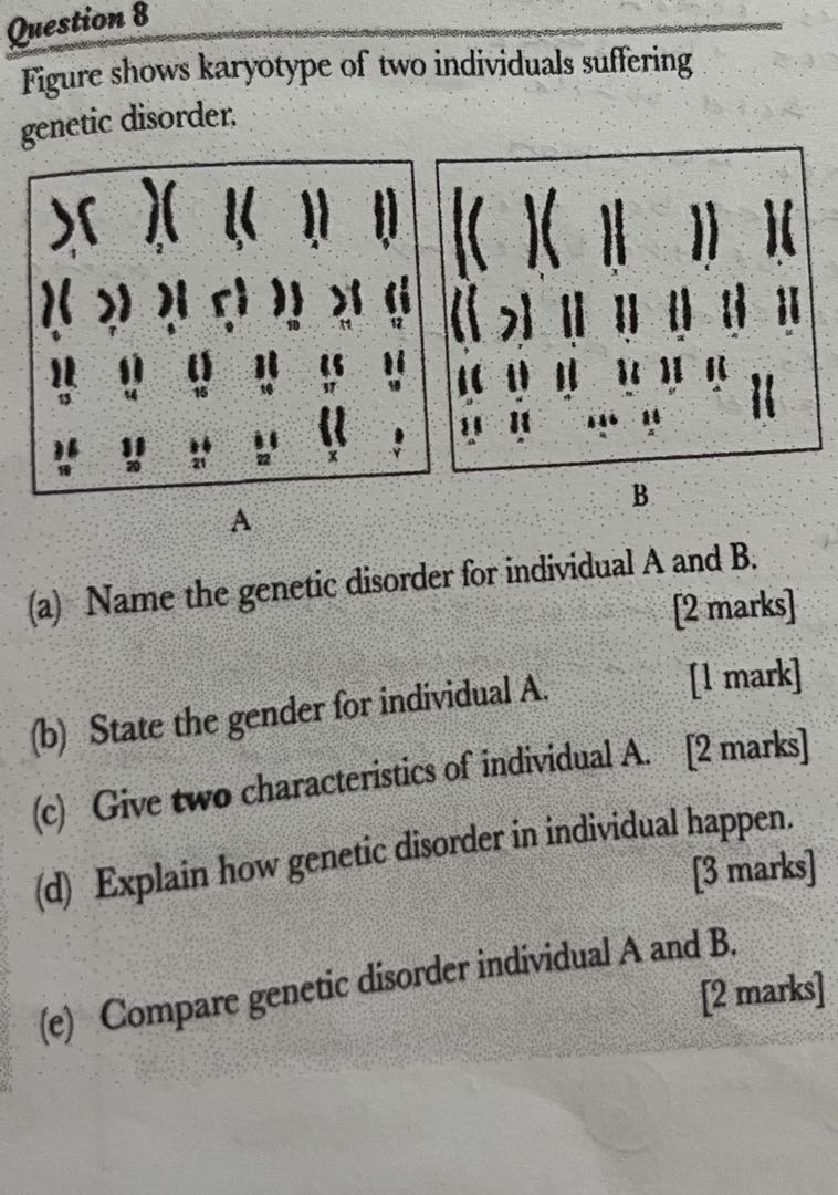 Question 8 Figure shows karyotype of two | StudyX