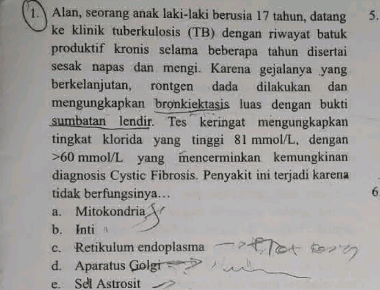 (1) Alan seorang anak laki-laki berusia 17 | StudyX