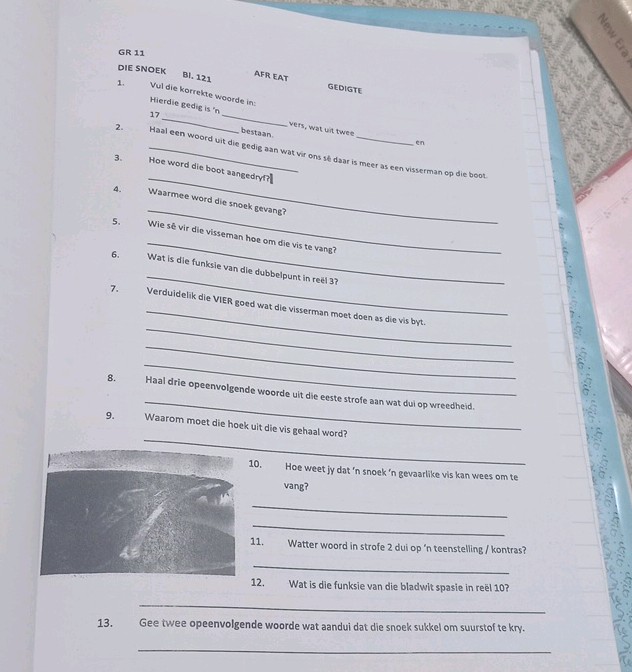 GR 11 DIE SNOEK B1 121 AFR EAT GEDIGTE 1 | StudyX