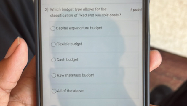 2) Which budget type allows for the 1 point | StudyX