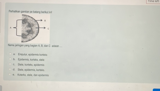 Time left Perhatikan gambar pe batang | StudyX