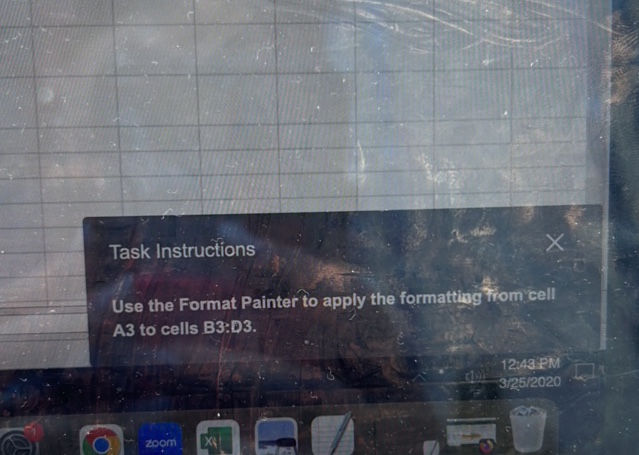 Task Instructions Use the Format Painter to | StudyX