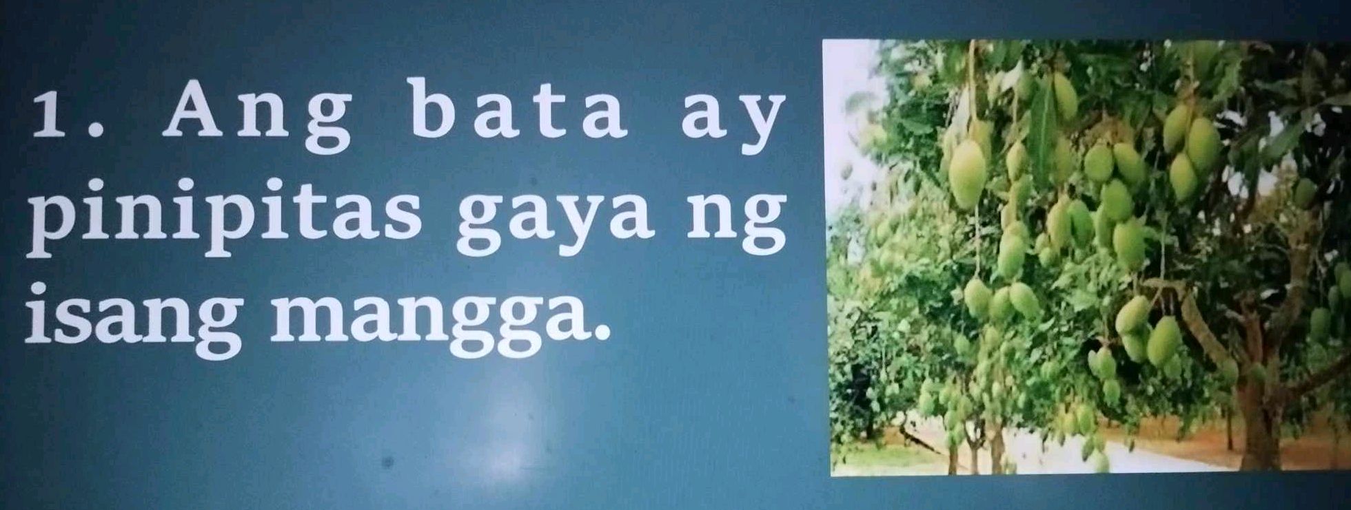 1 Ang bata ay pinipitas gaya ng isang mangga | StudyX