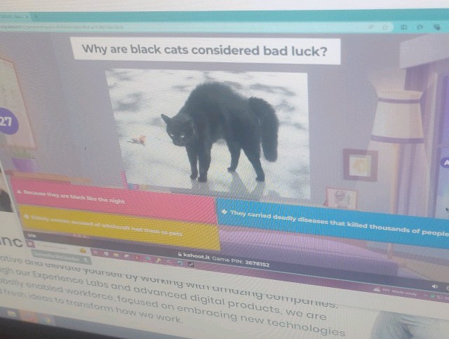 Why are black cats considered bad luck 27 | StudyX