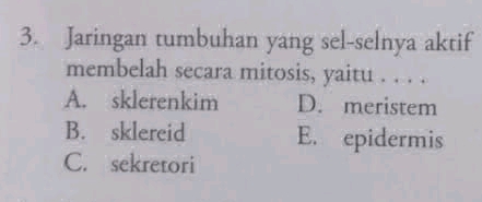3 Jaringan tumbuhan yang sel-selnya aktif | StudyX