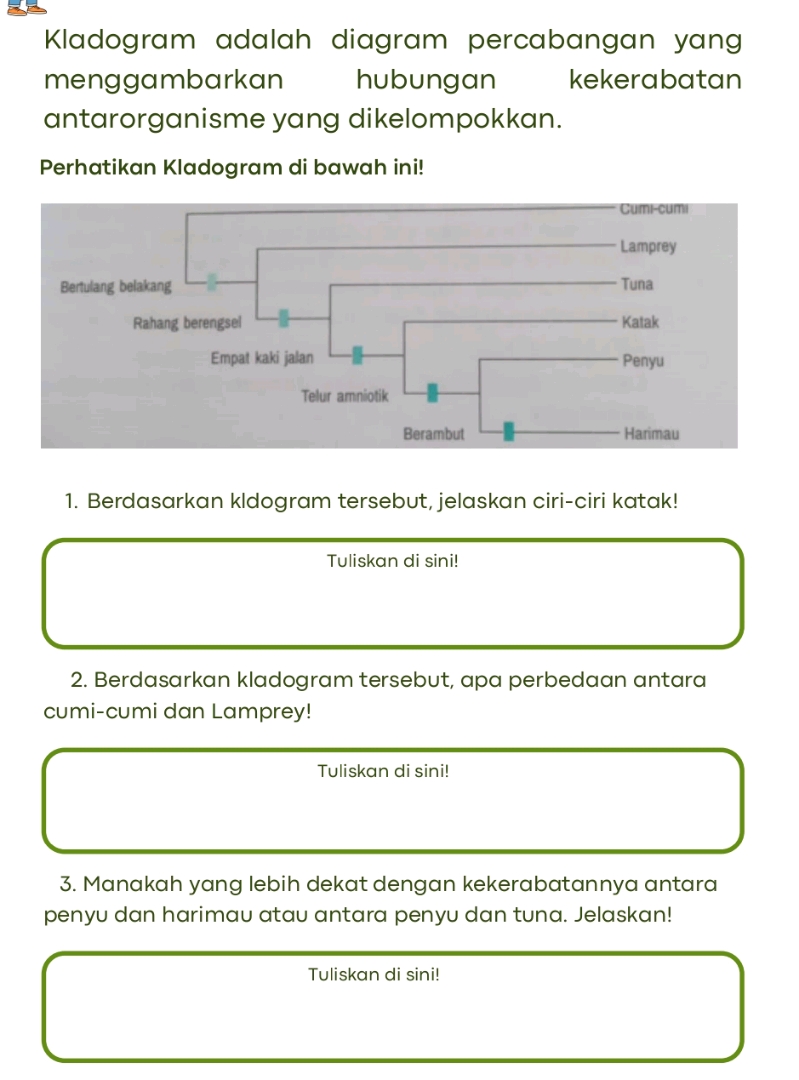 Kladogram adalah diagram percabangan yang | StudyX