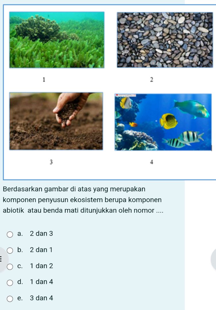 Berdasarkan gambar di atas yang merupakan | StudyX