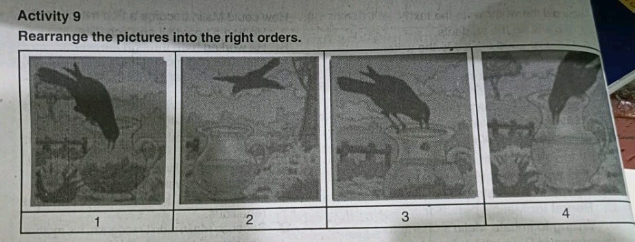 Activity 9 Rearrange the pictures into the | StudyX