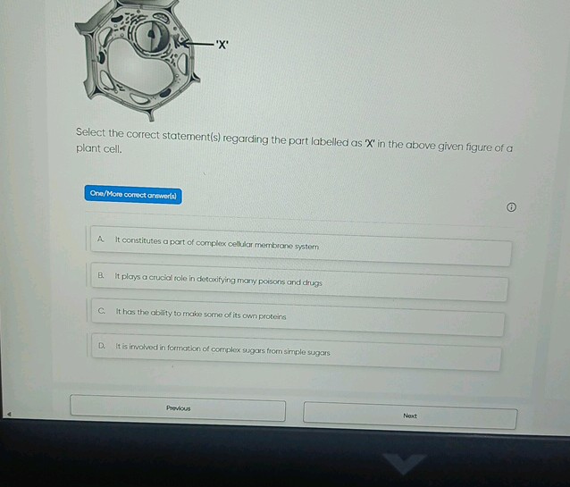 Select the correct statement(s) regarding | StudyX