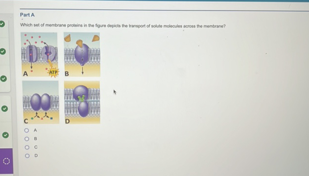 Part A Which set of membrane proteins in | StudyX