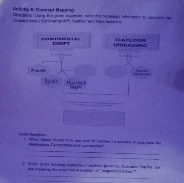 Activity 6 Concept Mapping Directions Using | StudyX