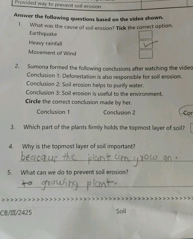 Provided way to prevent soil erosion Answer | StudyX
