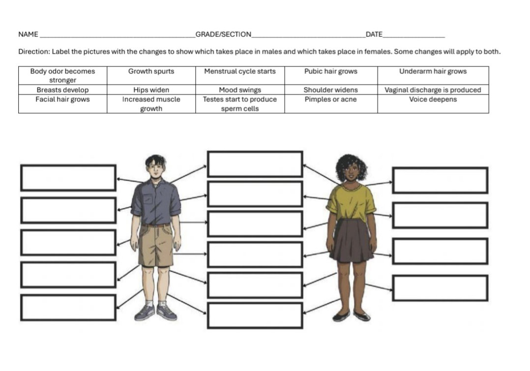 Direction: Label the pictures with the | StudyX
