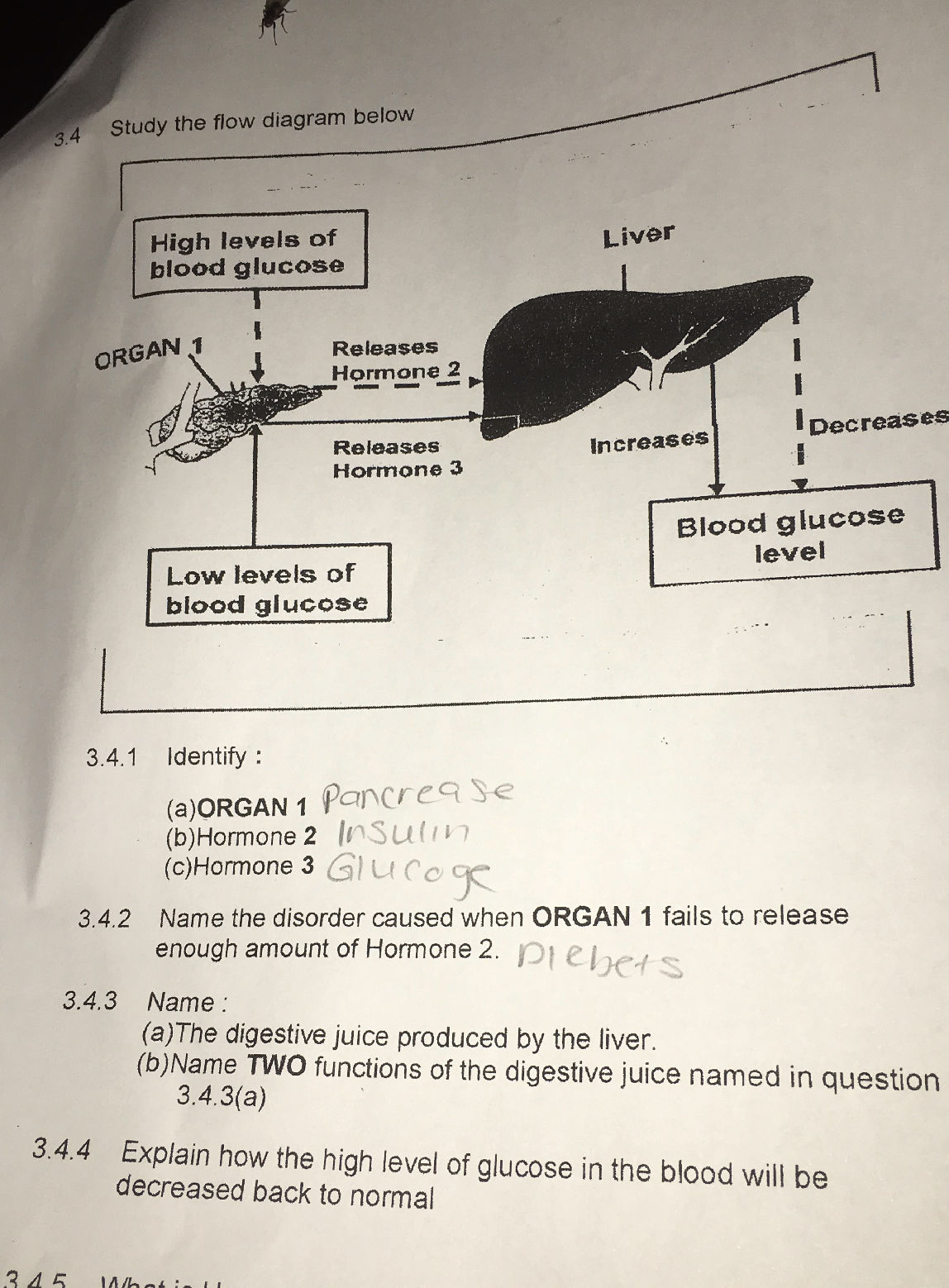 Study the flow diagram below [Diagram | StudyX