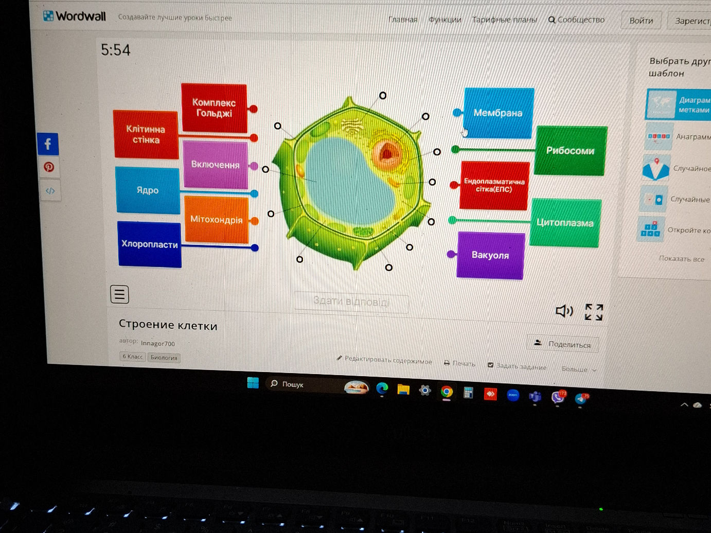 Строение клетки Labels to match with the | StudyX