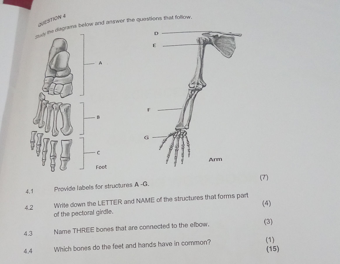 QUESTION 4 Study the diagrams below and | StudyX