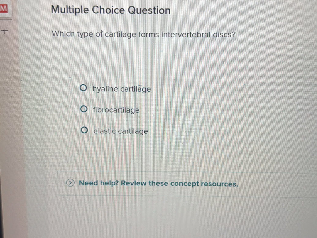 Which type of cartilage forms intervertebral | StudyX