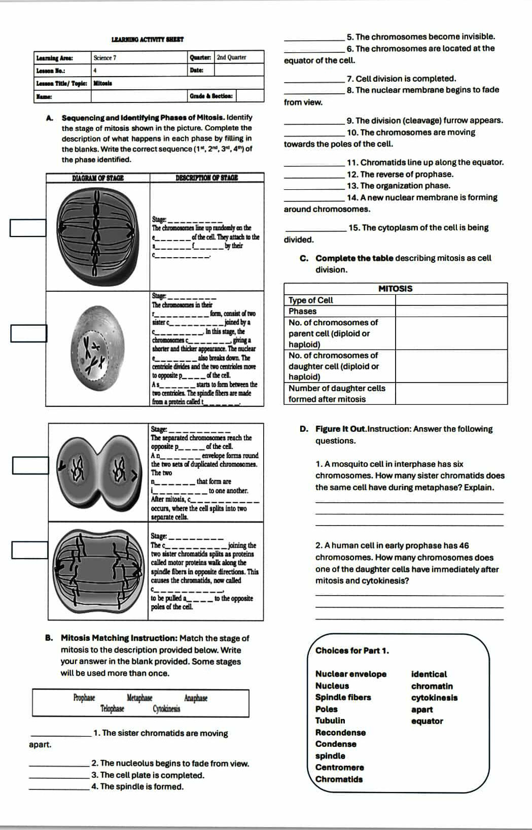 A. Sequencing and Identifying Phases of | StudyX
