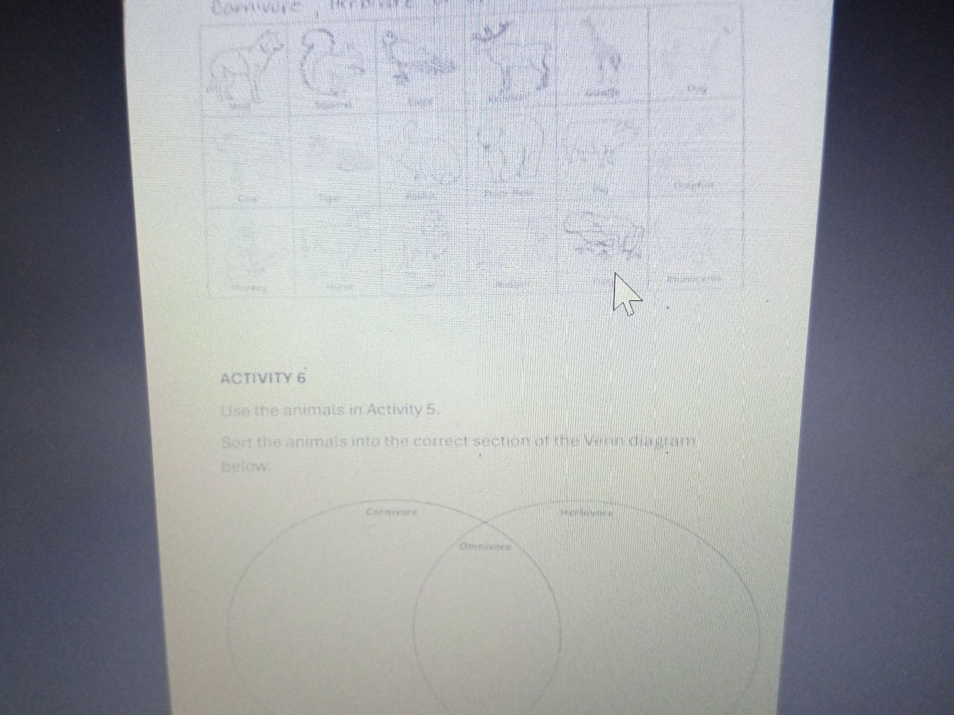 ACTIVITY 6 Use the animals in Activity 5. | StudyX