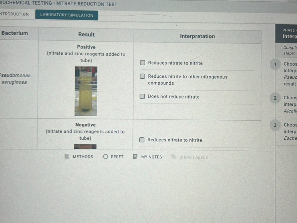 The following table shows results from a | StudyX
