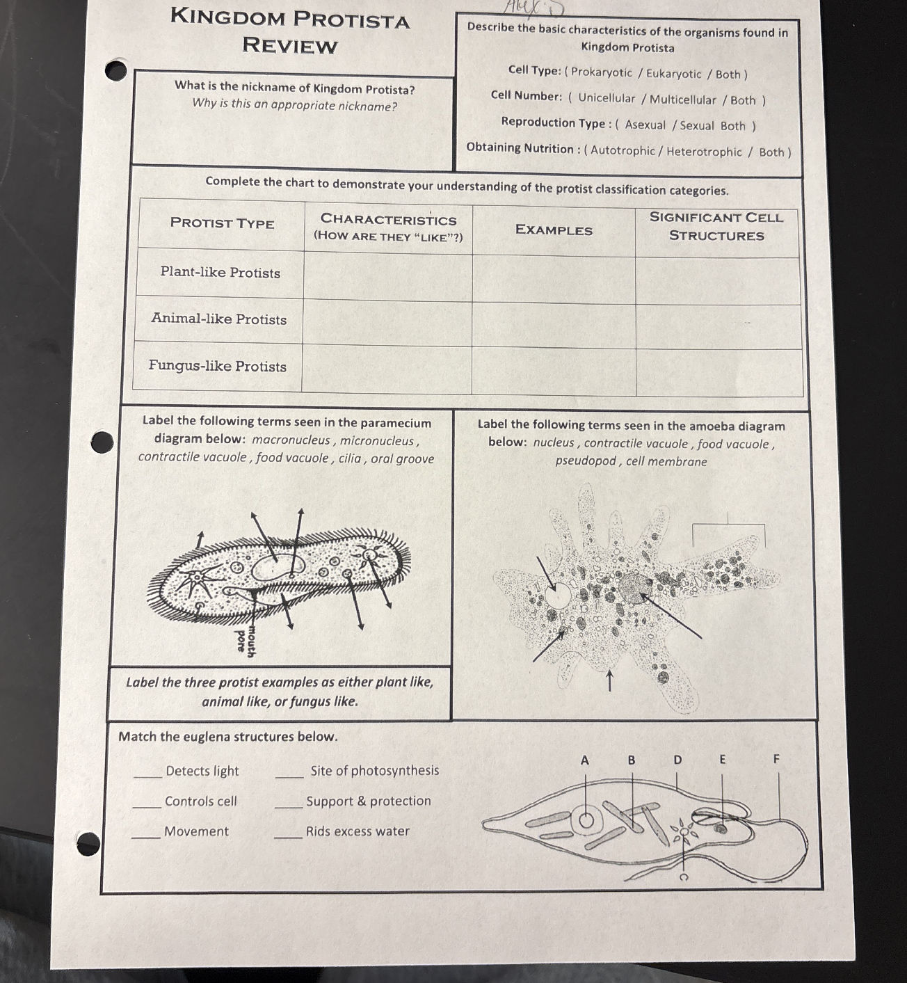 What is the nickname of Kingdom Protista? | StudyX