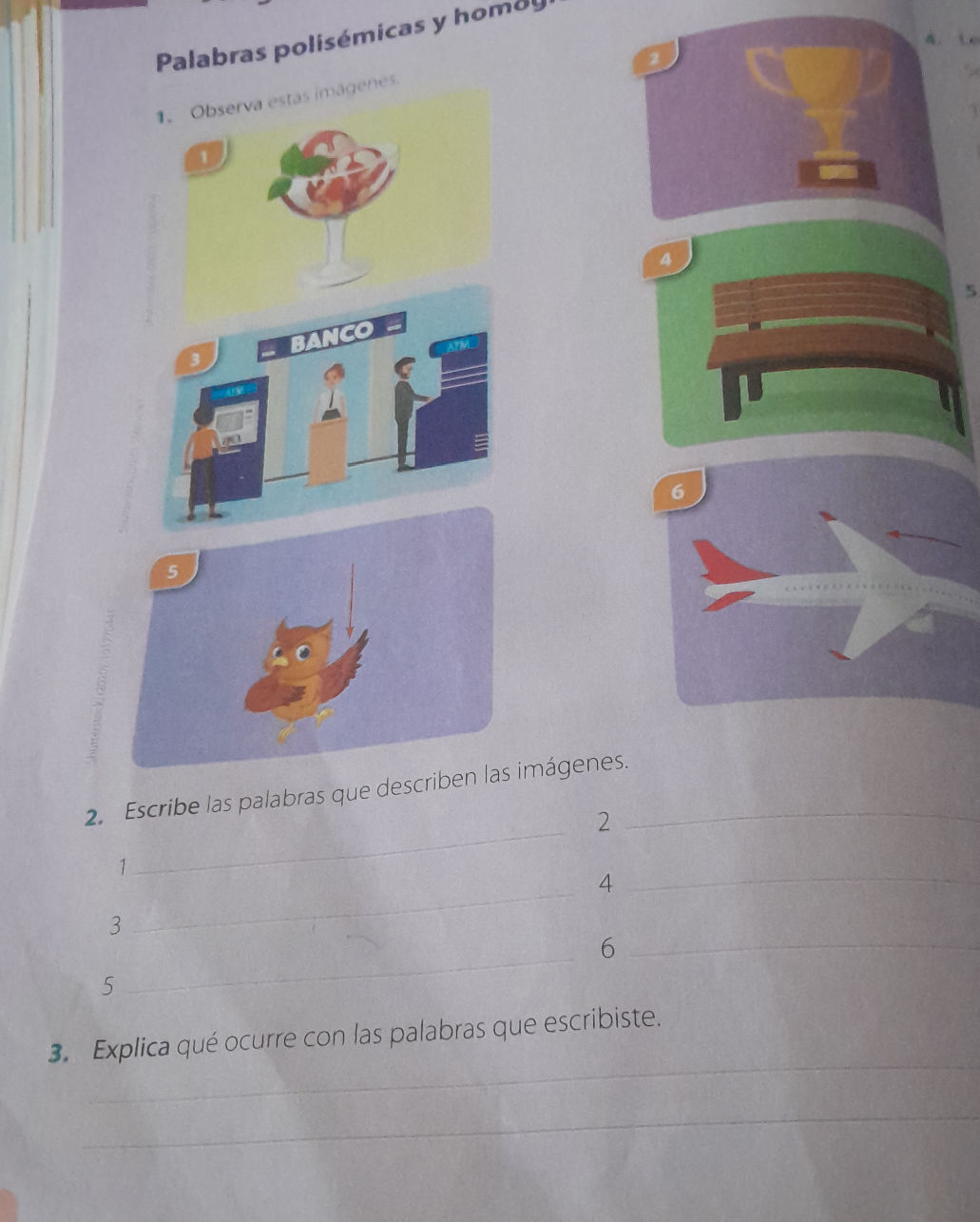 1. Observa estas imagenes. 2. Escribe las | StudyX