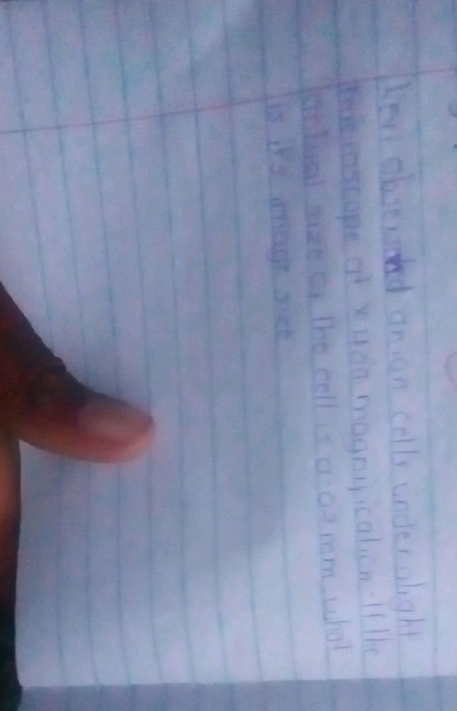 Levi observed onion cells under a light | StudyX