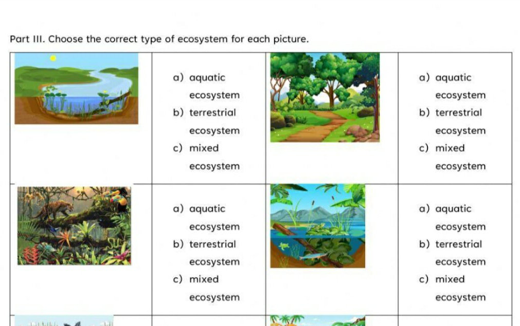 Choose the correct type of ecosystem for | StudyX