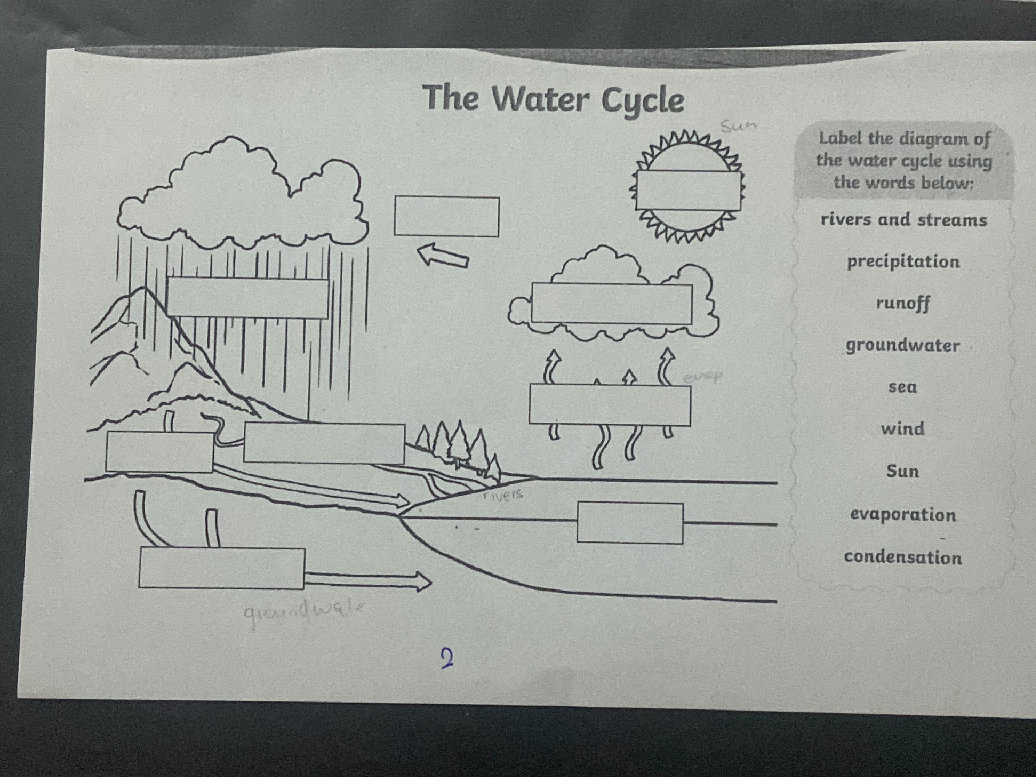 Label the diagram of the water cycle using | StudyX