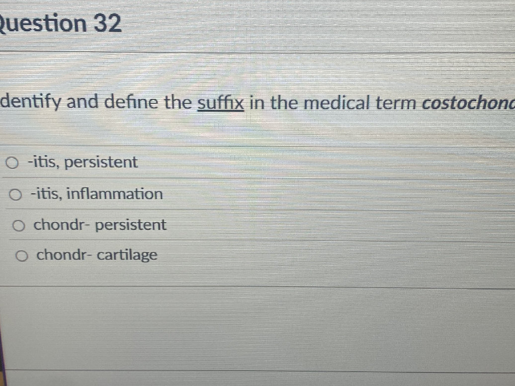 Identify and define the suffix in the | StudyX
