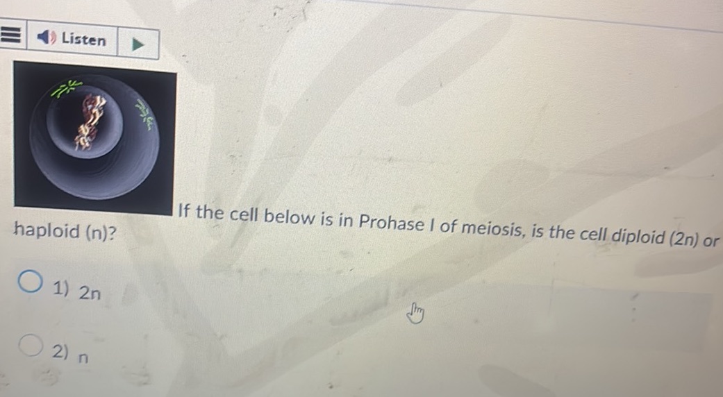 If the cell below is in Prohase I of | StudyX