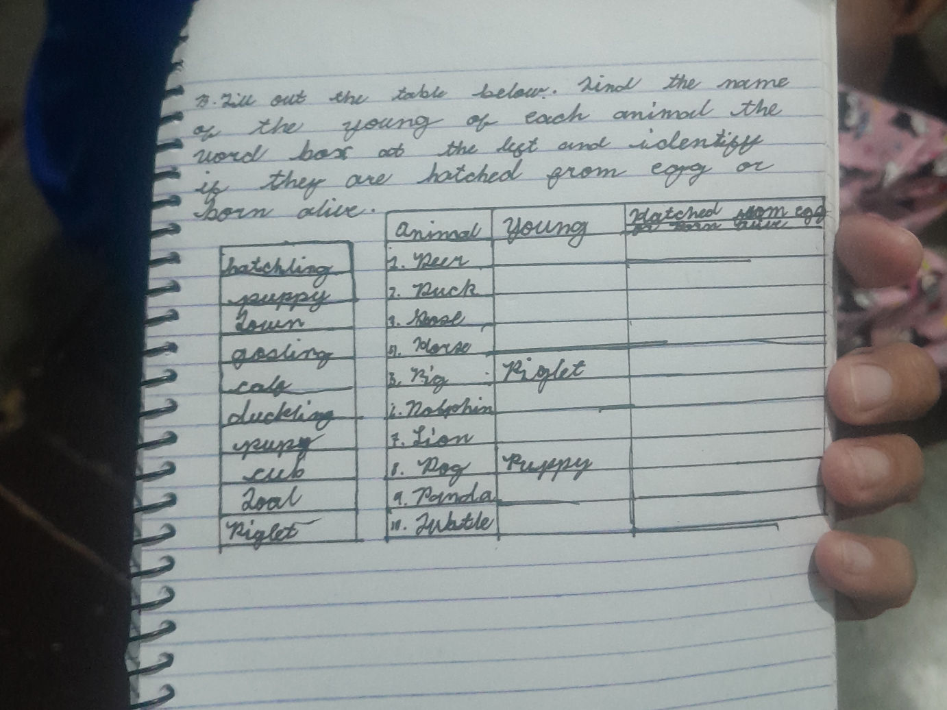 B. Fill out the table below. Find the name | StudyX