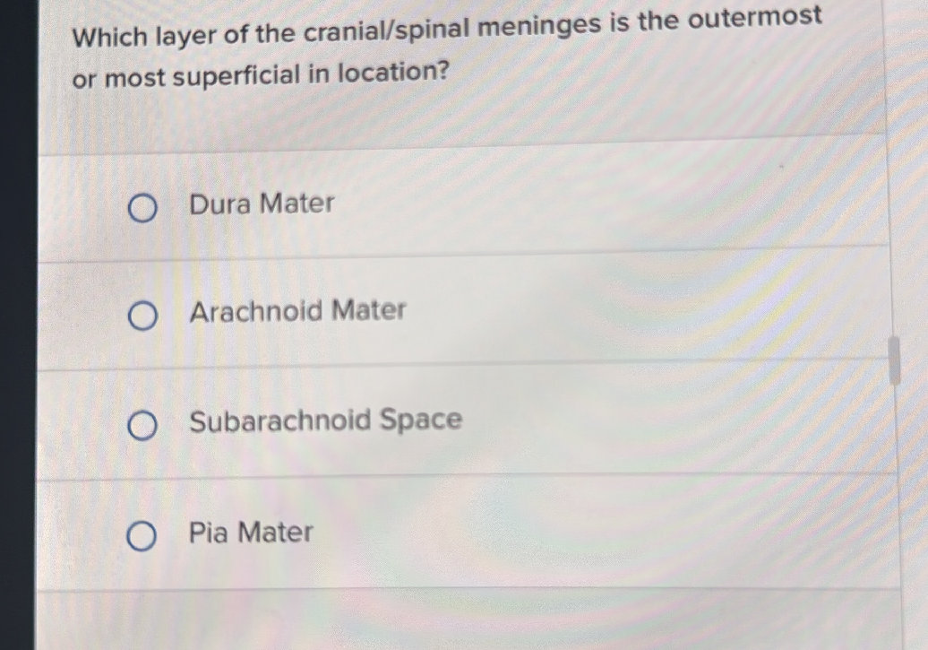 Which layer of the cranial/spinal meninges | StudyX