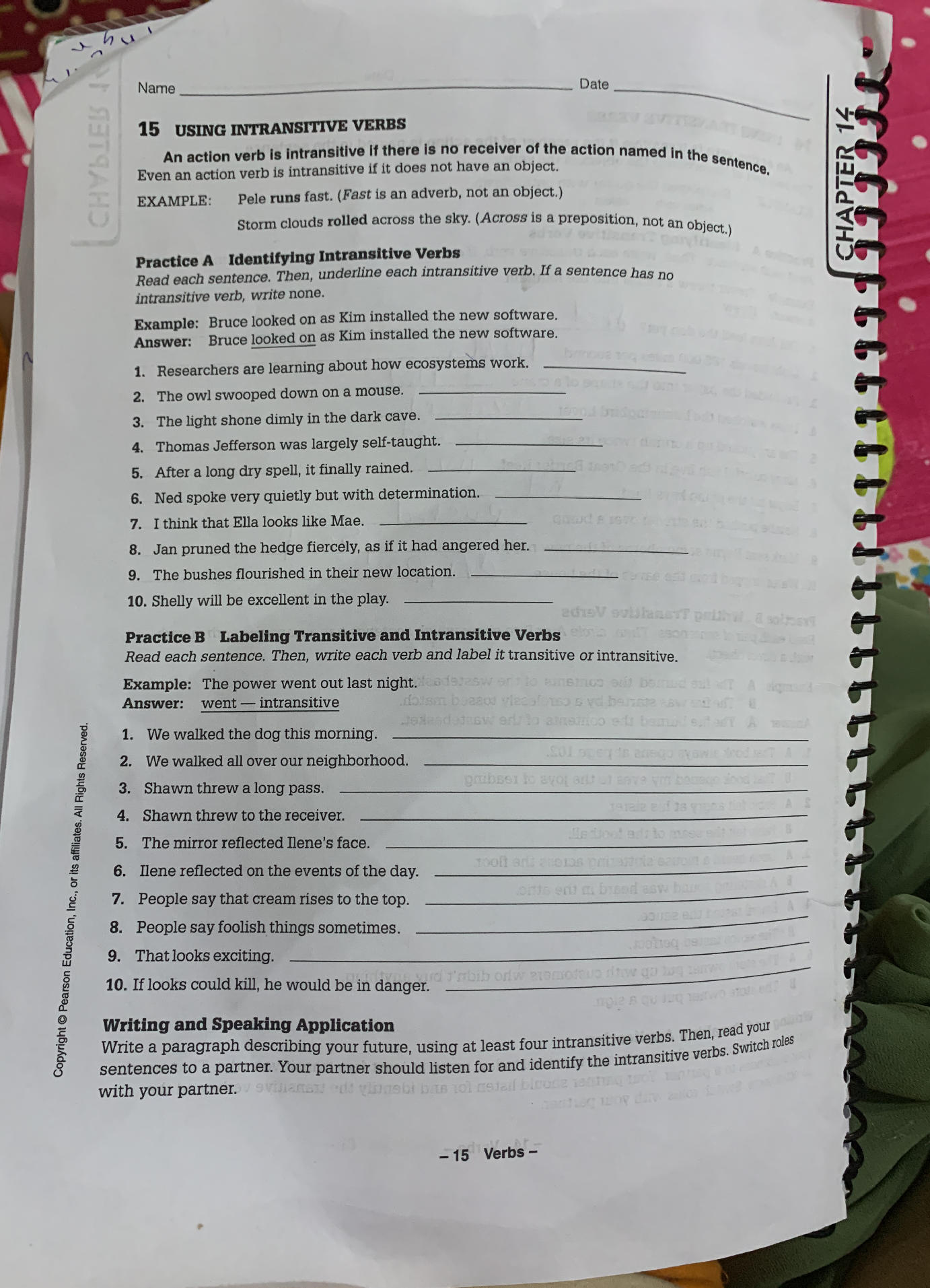 Practice A Identifying Intransitive Verbs | StudyX