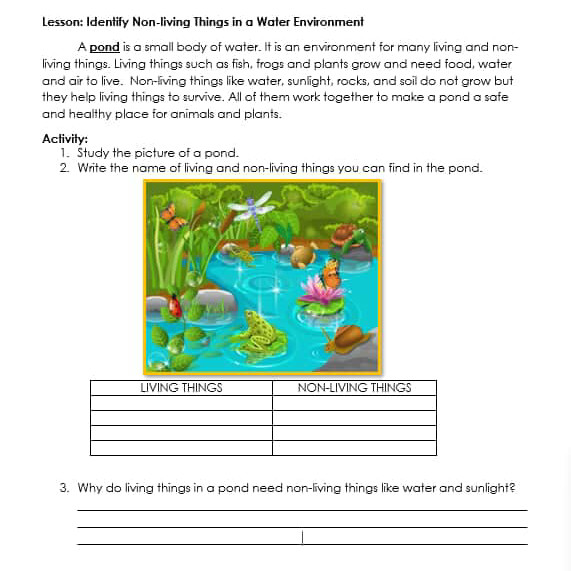 Lesson: Identify Non-living Things in a | StudyX