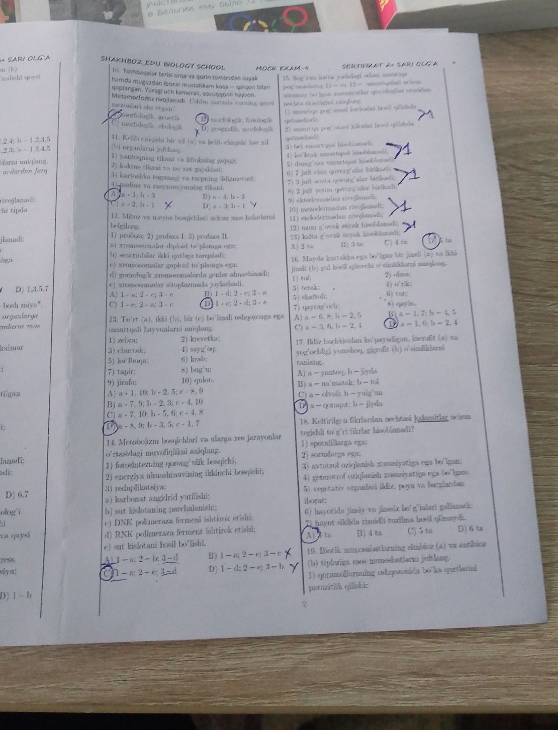 10. Toshbaqalar terisi orqa va qorin | StudyX