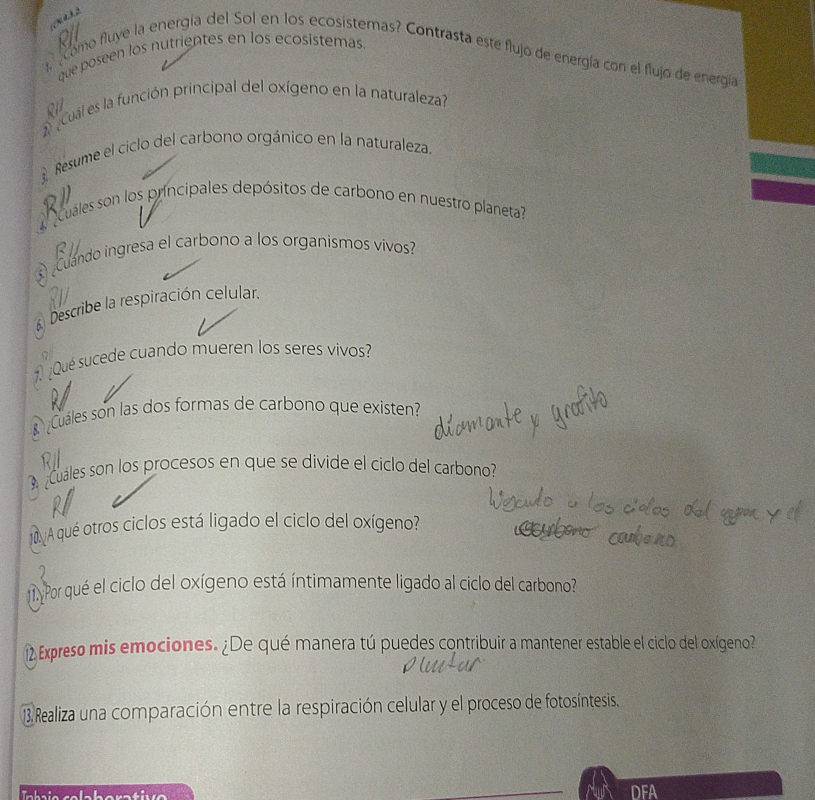 Cómo fluve la energía del Sol en los | StudyX