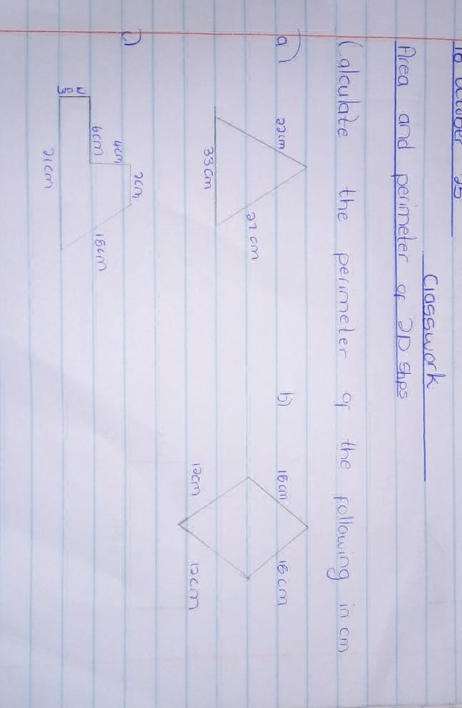 Classwork Area and perimeter of 2D Shapes | StudyX