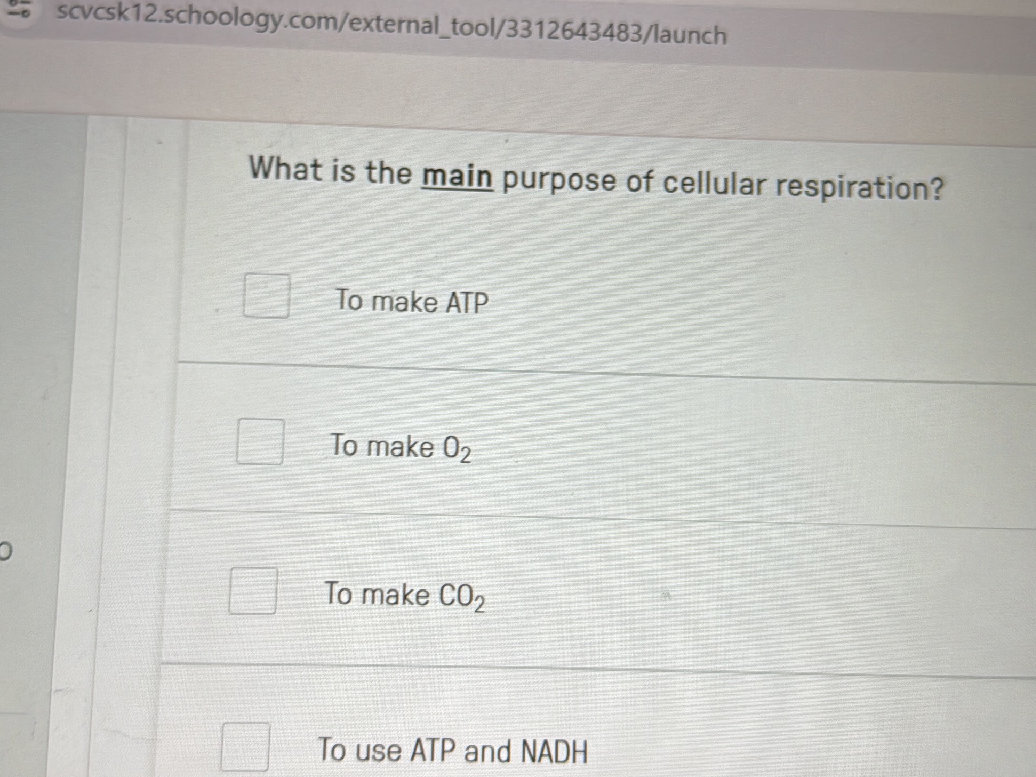 What is the main purpose of cellular | StudyX