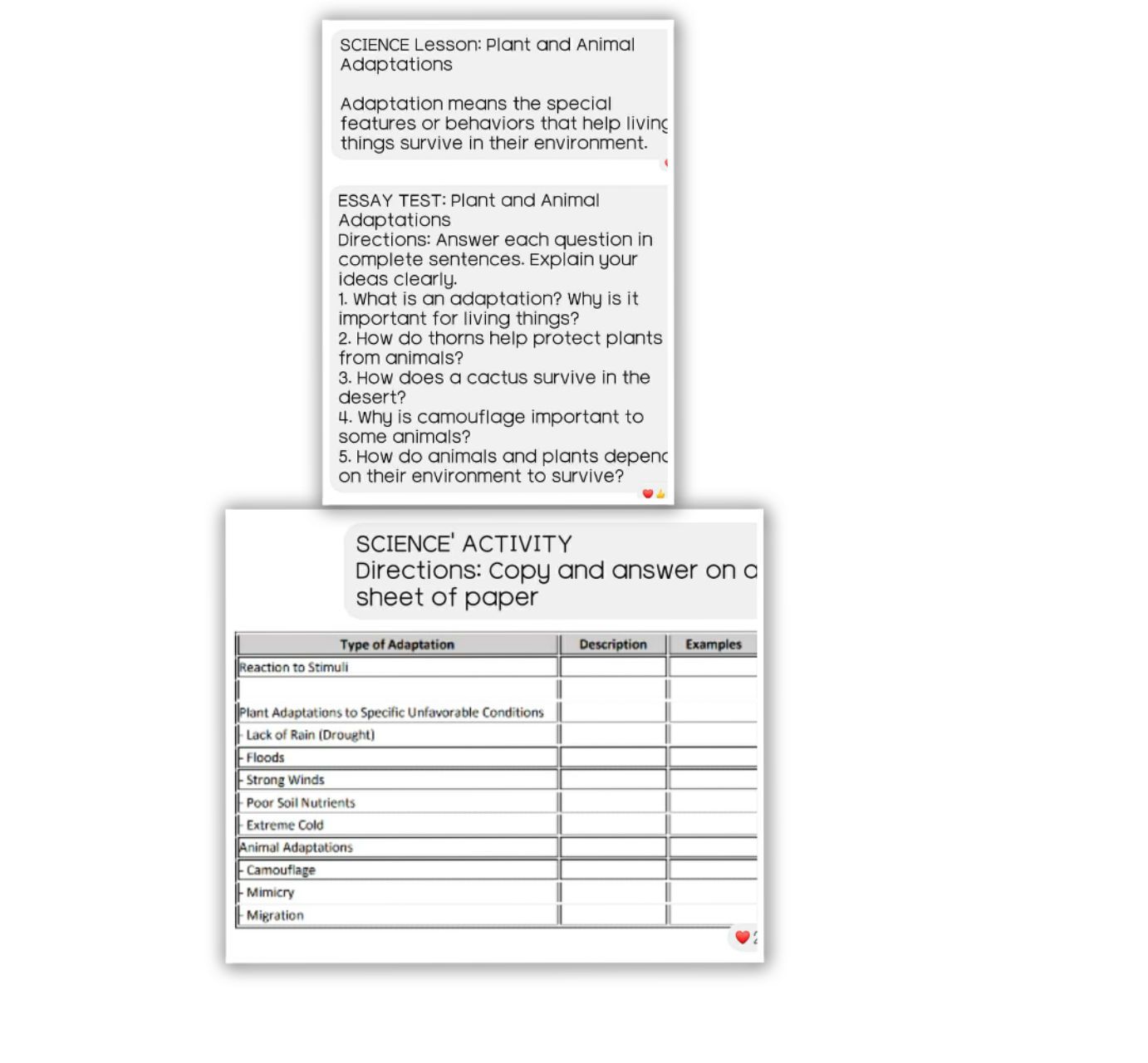 ESSAY TEST: Plant and Animal Adaptations | StudyX