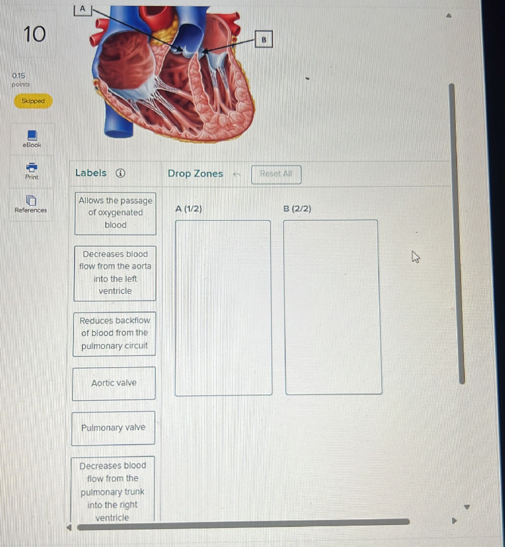The image shows a drag-and-drop question | StudyX