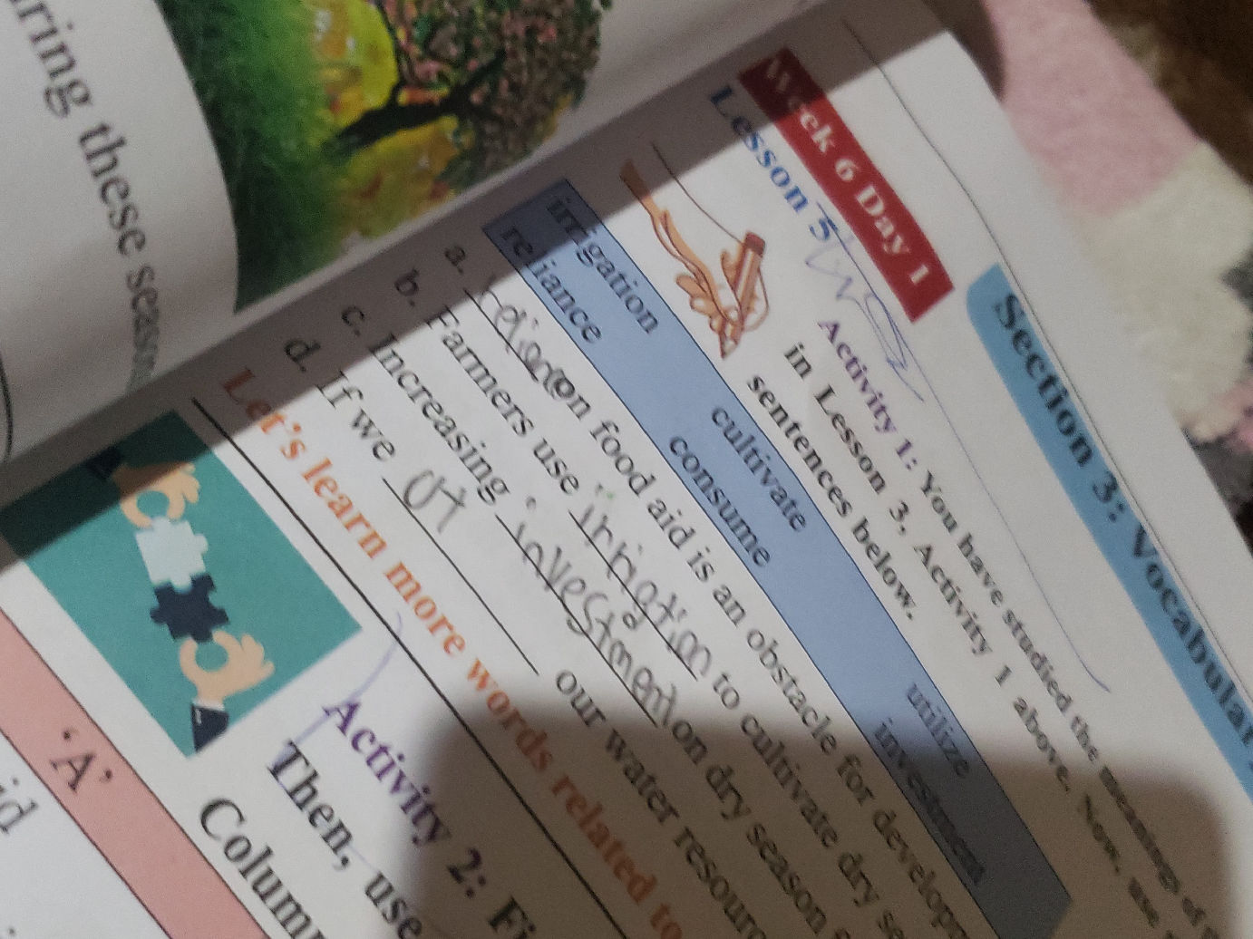 Week 6 Day 1 Section 3: Vocabulary Lesson 5 | StudyX