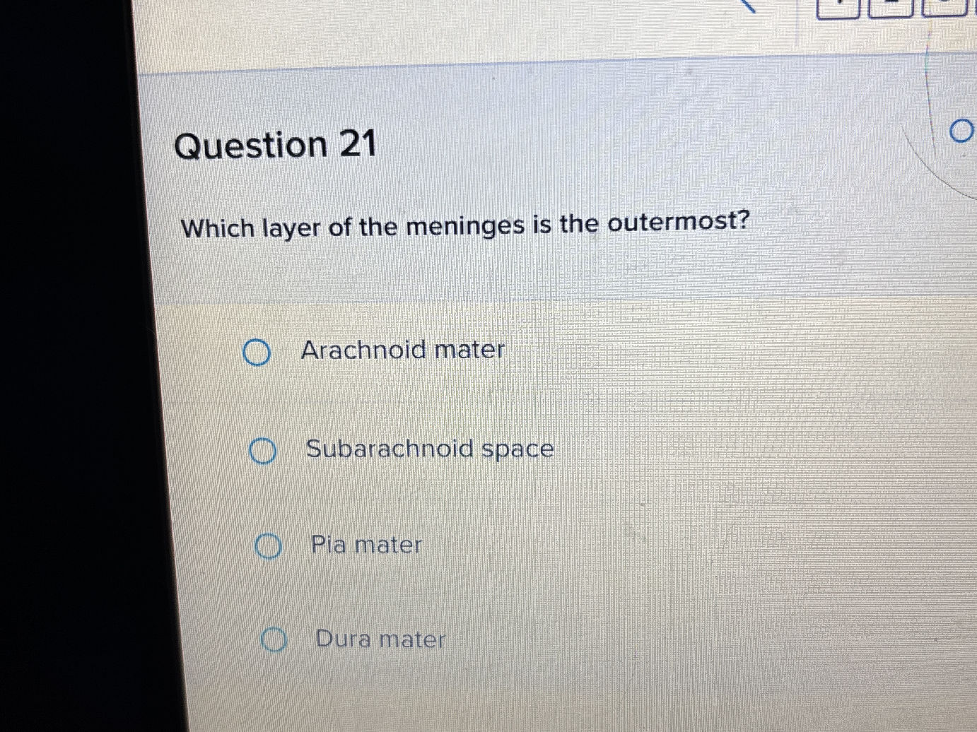 Which layer of the meninges is the | StudyX