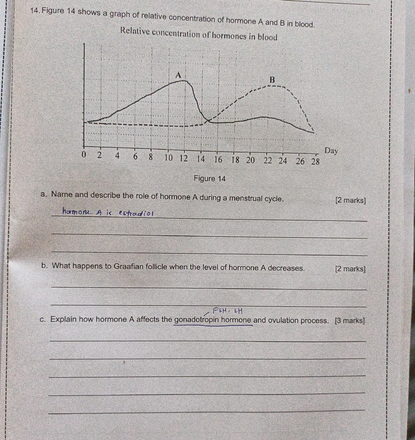 14. Figure 14 shows a graph of relative | StudyX