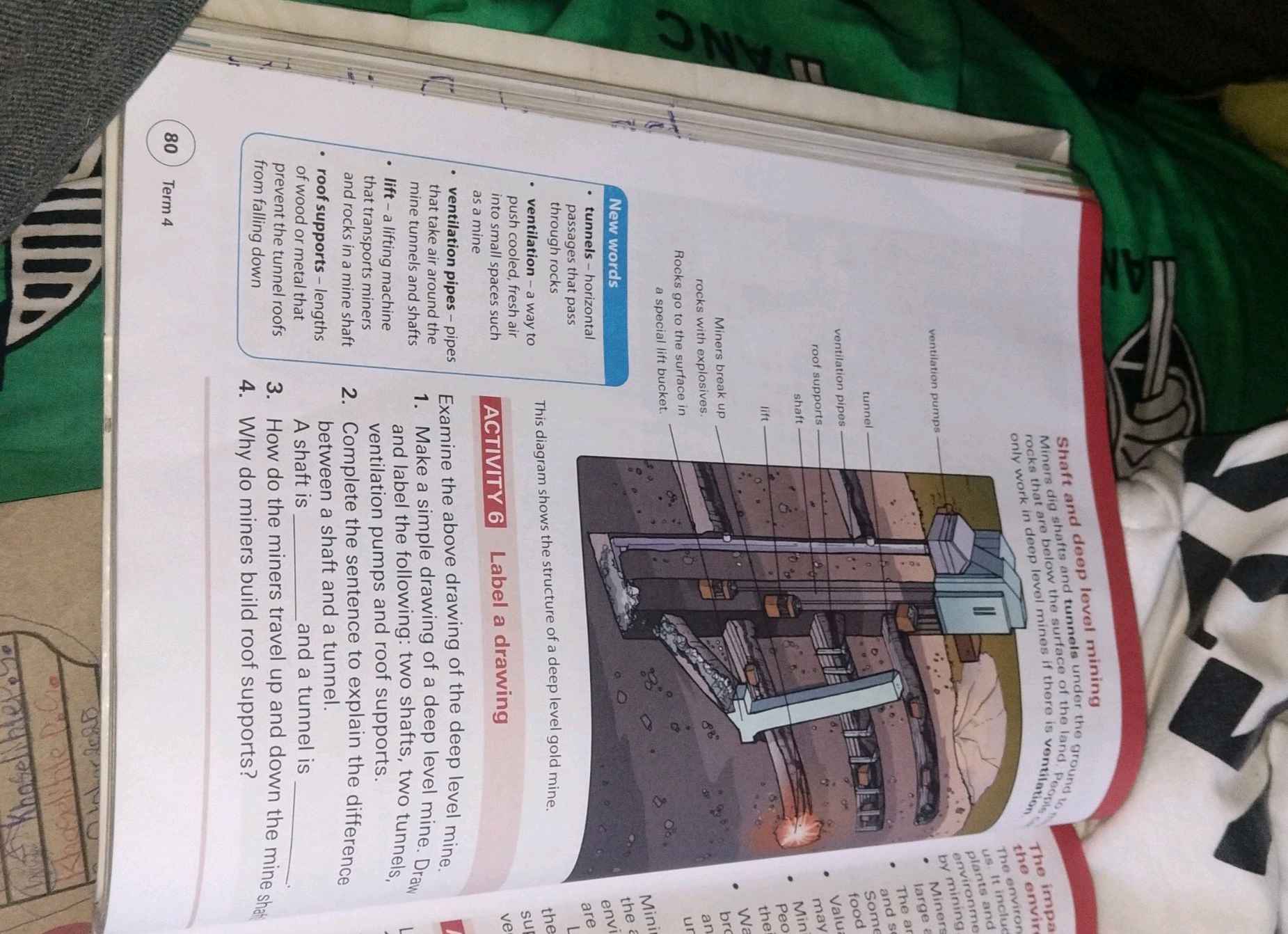 ACTIVITY 6 Label a drawing This diagram | StudyX