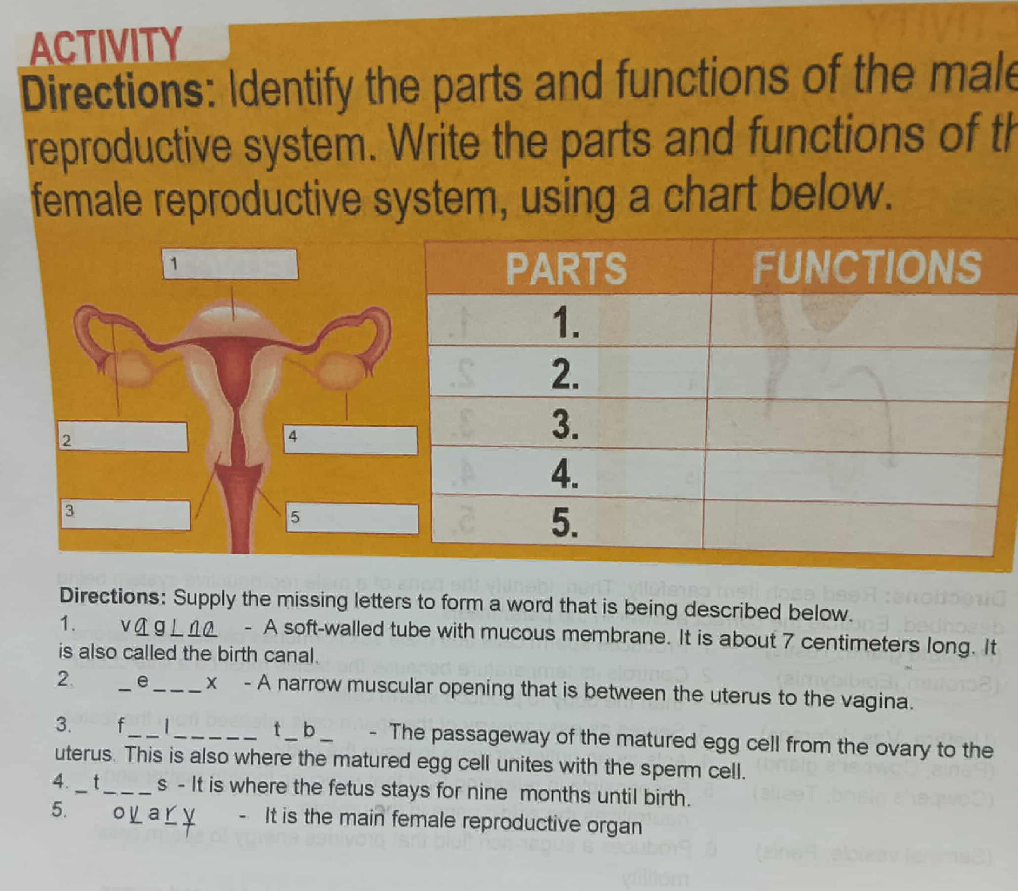 ACTIVITY Directions: Identify the parts and | StudyX