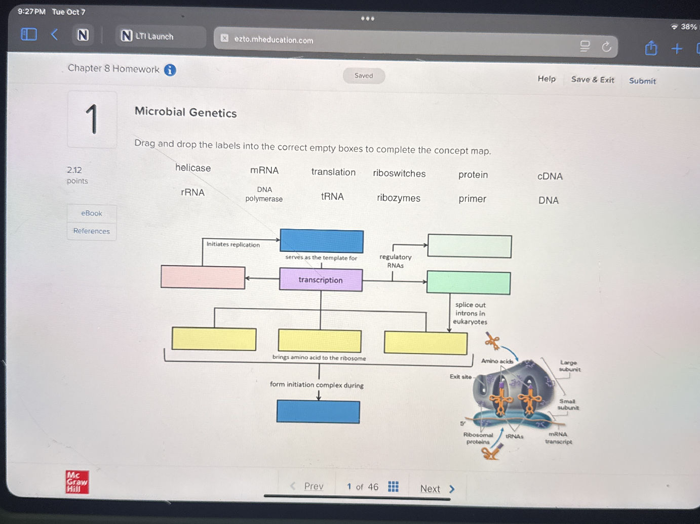 Drag and drop the labels into the correct | StudyX