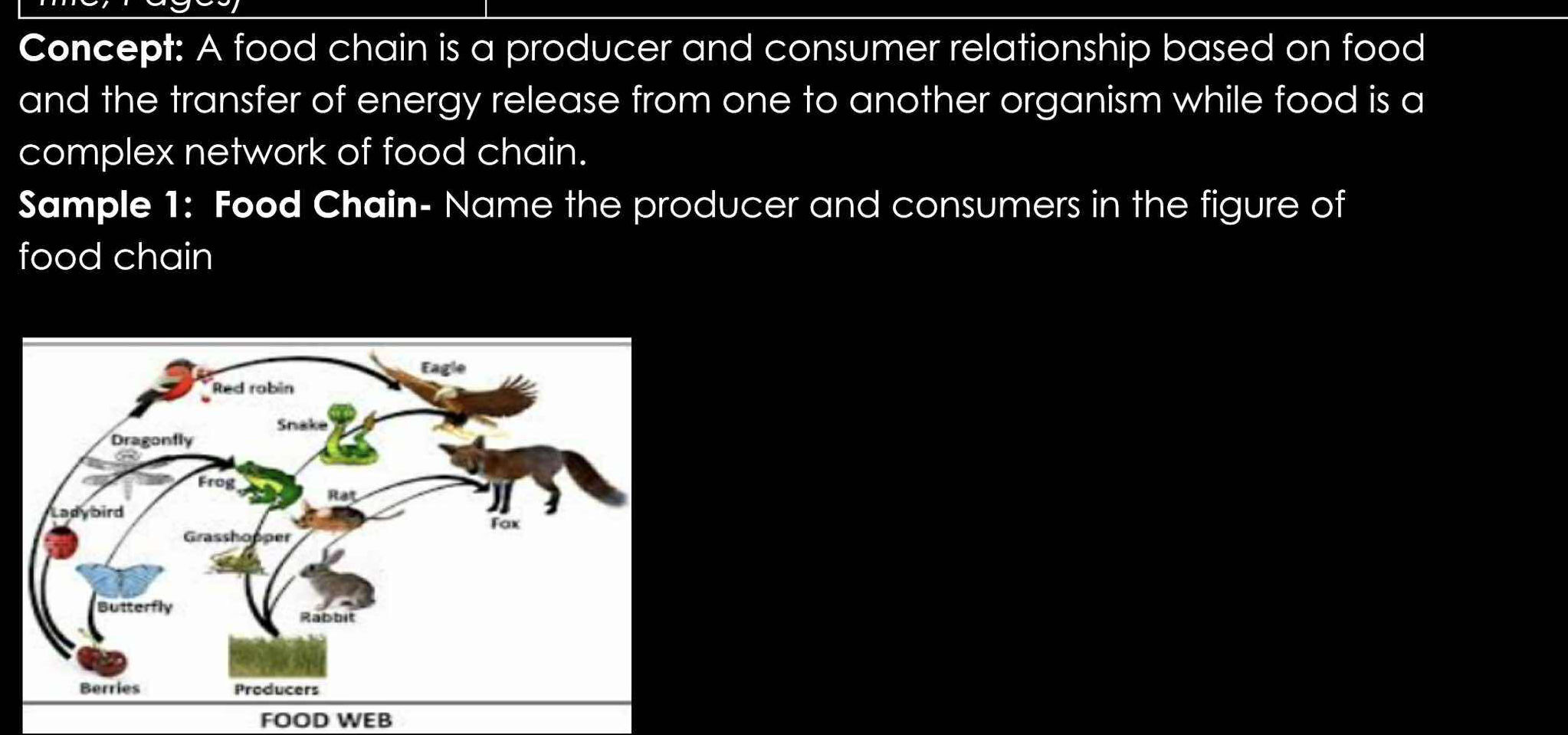Sample 1: Food Chain- Name the producer and | StudyX