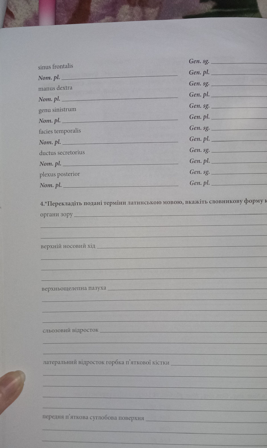 sinus frontalis Nom. pl. ____ manus dextra | StudyX