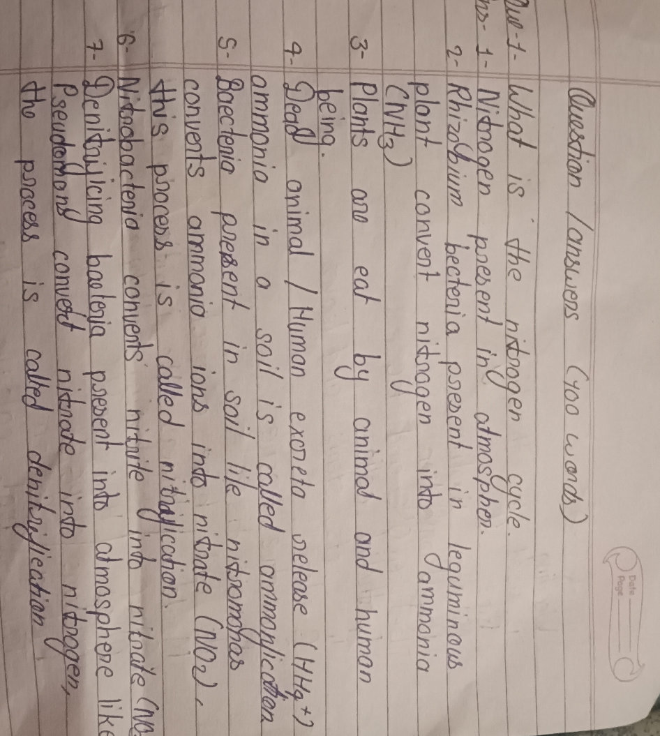 What is the nitrogen cycle. 1. Nitrogen | StudyX